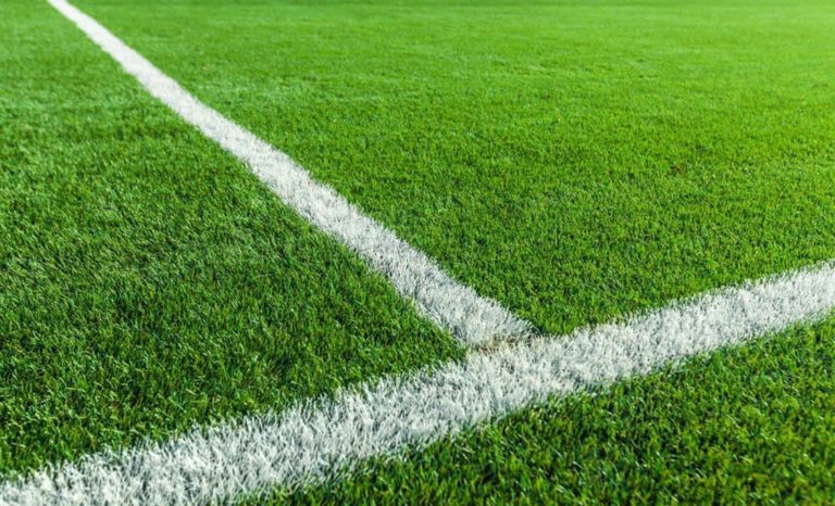 Sports Artificial Grass Supplier and Wholesaler - Relyir