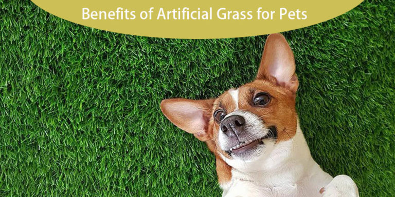 Artificial Grass for Pets: The Pros and Cons You Need to Know - Relyir