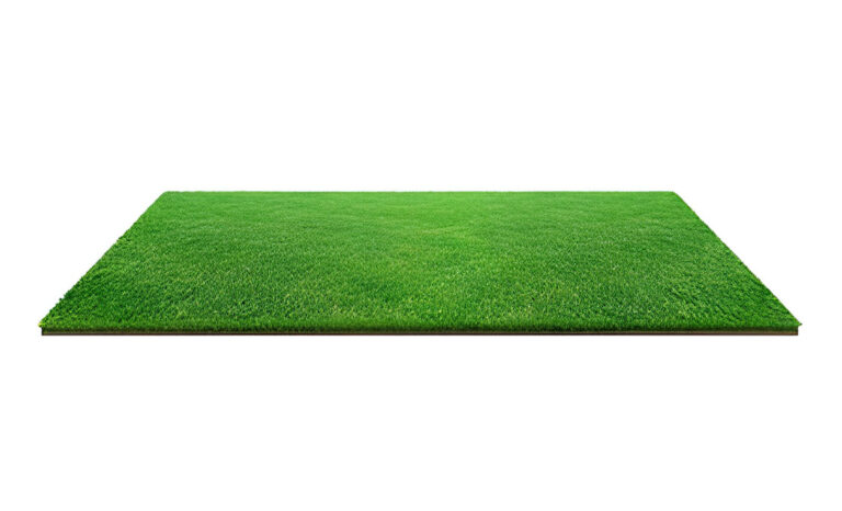 Sizes of Artificial Grass: The Ultimate Guide - Relyir